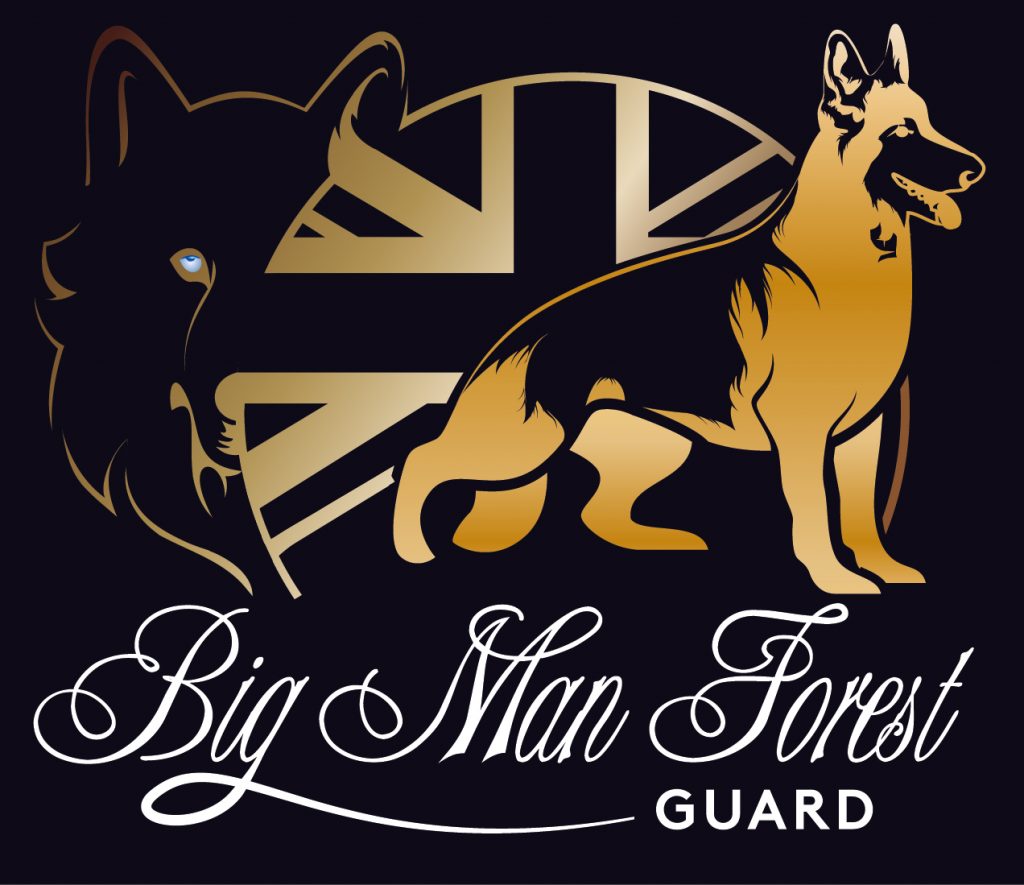 Big Man Forest Ping-Ping - Big Man Forest